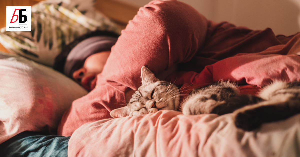The power of power nap или силата на следобедния сън - Живот - Булевард ...